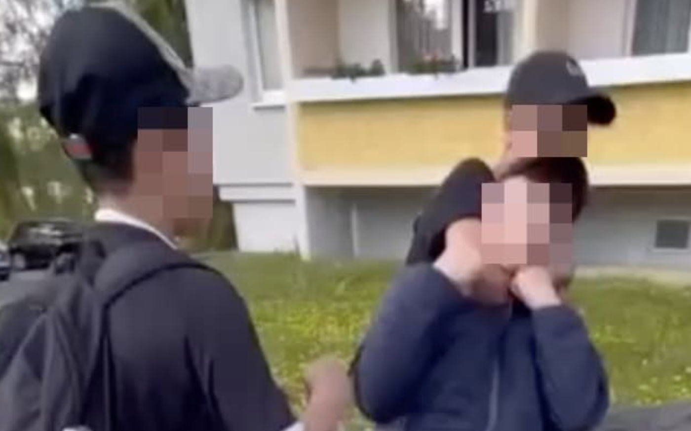 20 foreigners beat German 14-year-old boy in viral video in eastern ...