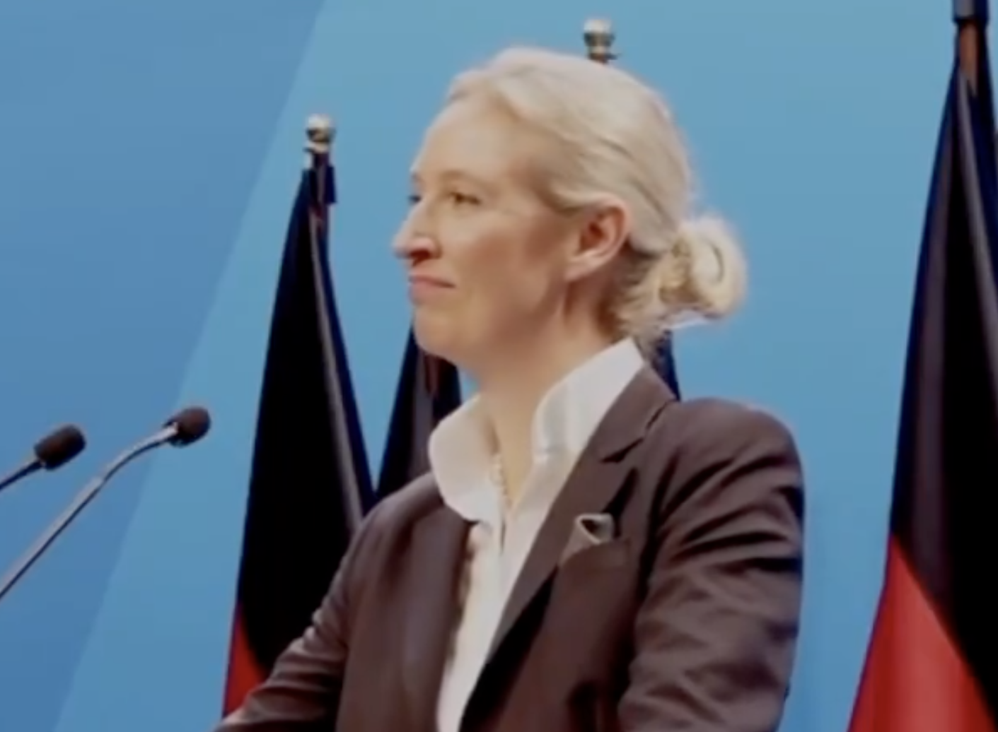 'Close the borders completely' – AfD's Weidel calls for 'remigration ...