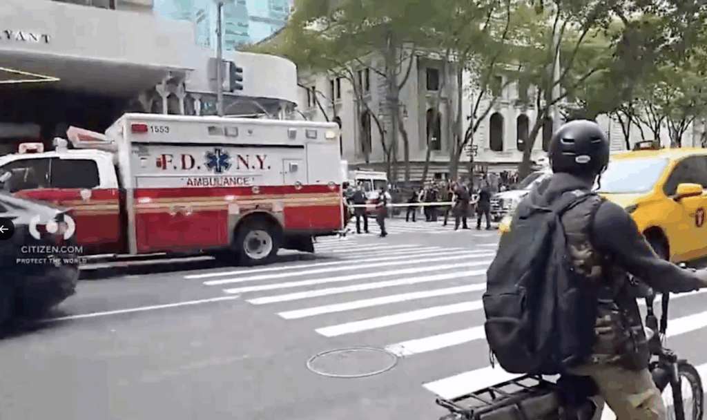 New York: German woman killed, husband hospitalized after alleged hit ...